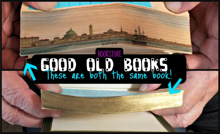 Good Old Books - Enchanting Rare Leland Book Store & the $675 Book it ...