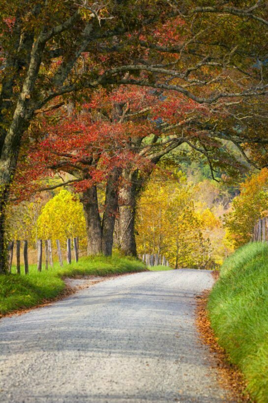 Fall in Tennessee Road Trip Itinerary - the Best Parks, Cities, Streets ...