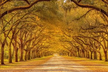 18 Best Places to See Fall in Georgia - Adventure Dragon