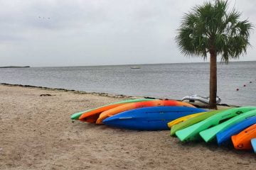 14 Things to Do in Cedar Key in 2022 (for Free or Cheap) - Adventure Dragon