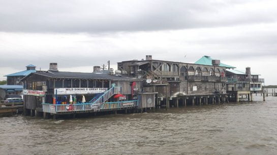Best Cedar Key Restaurants in 2022 (Waterfront, Seafood, Pet-Friendly ...