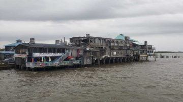 14 Things to Do in Cedar Key in 2022 (for Free or Cheap) - Adventure Dragon