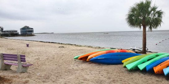 10 Best Cedar Key Beach Attractions for 2023 - Adventure Dragon