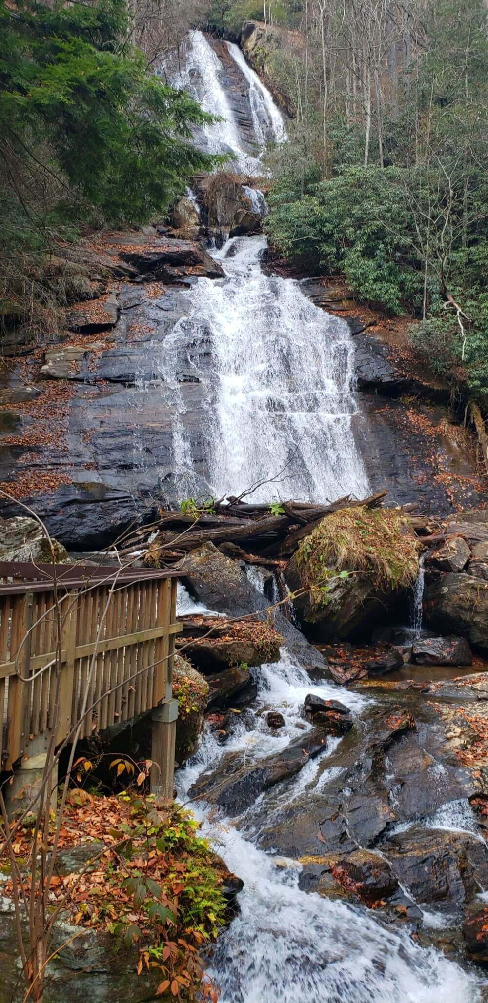 Anna Ruby Falls Facts and Secret Tips for Visiting the Twin Waterfalls ...